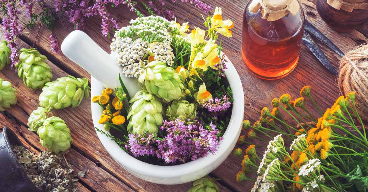 Local herbal medicines challenge the pharmaceuticals – Scientific ASIA