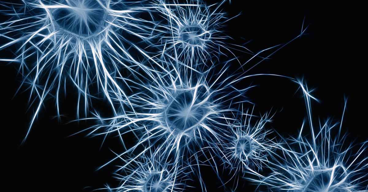 Study finds odor-sensing neuron regeneration process is adaptive ...
