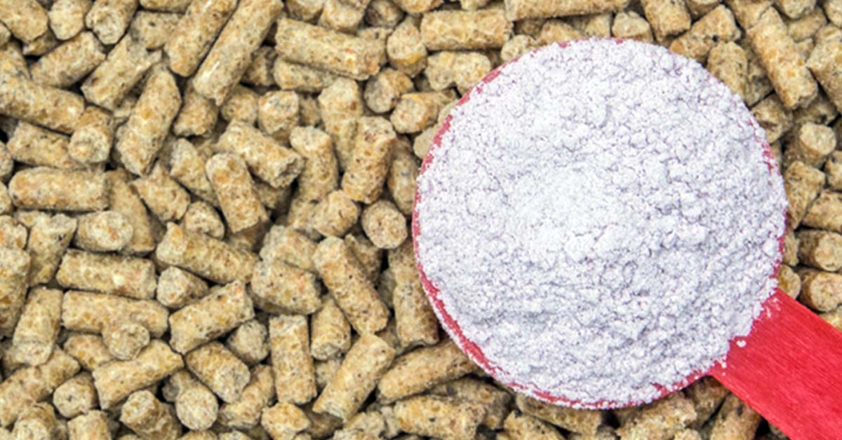 Necessary Fermentation Conditions for Efficient Ruminant Feed ...