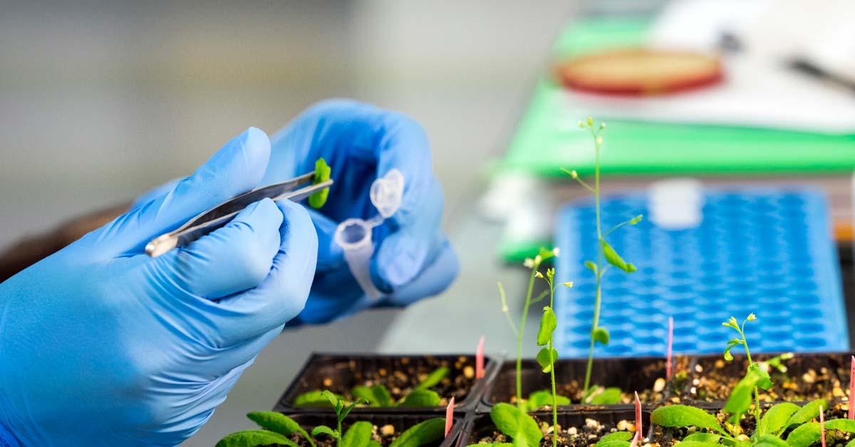 Nanotech is the Future of Agriculture – Scientific ASIA